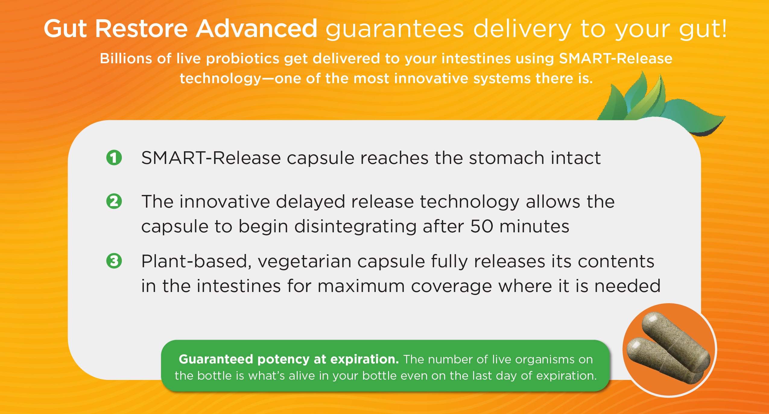 Gut Restore Advanced - Doctors' Preferred | Healthy Directions