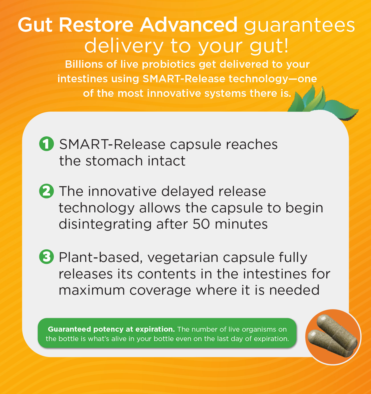Gut Restore Advanced - Doctors' Preferred | Healthy Directions