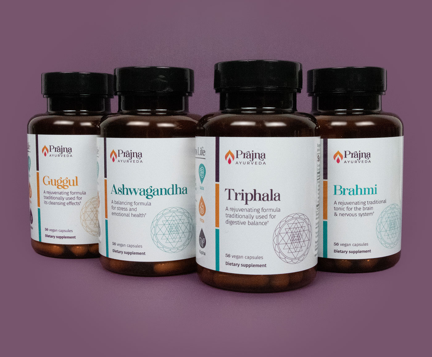 Prajna Herbs Family | Dr. Kulreet Chaudhary