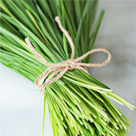 Vision Essentials Ultra - Whitaker Nutrition | Healthy Directions